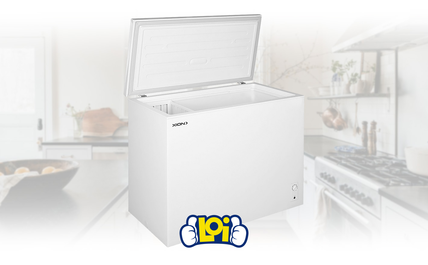 Freezer XION de 300L de Capacidad y Función Dual: Freezer o ...
